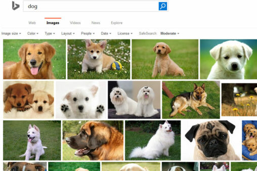What is a public domain image? | LibreShot