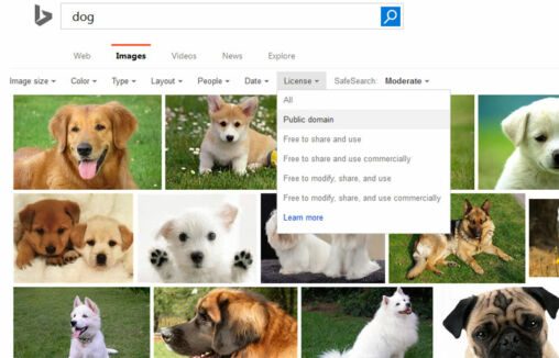 What is a public domain image? | LibreShot
