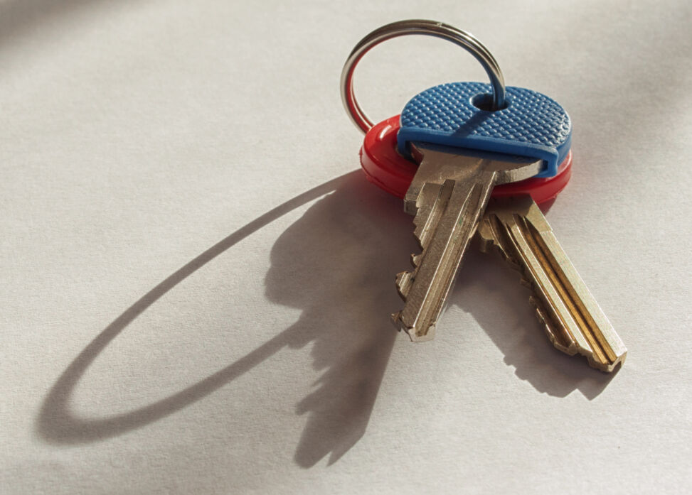 Keys On White Background | Copyright-free photo (by M. Vorel) | LibreShot