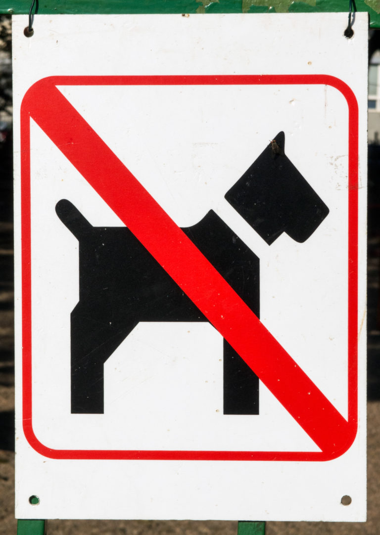 No Dogs Allowed Sign | Copyright-free photo (by M. Vorel) | LibreShot