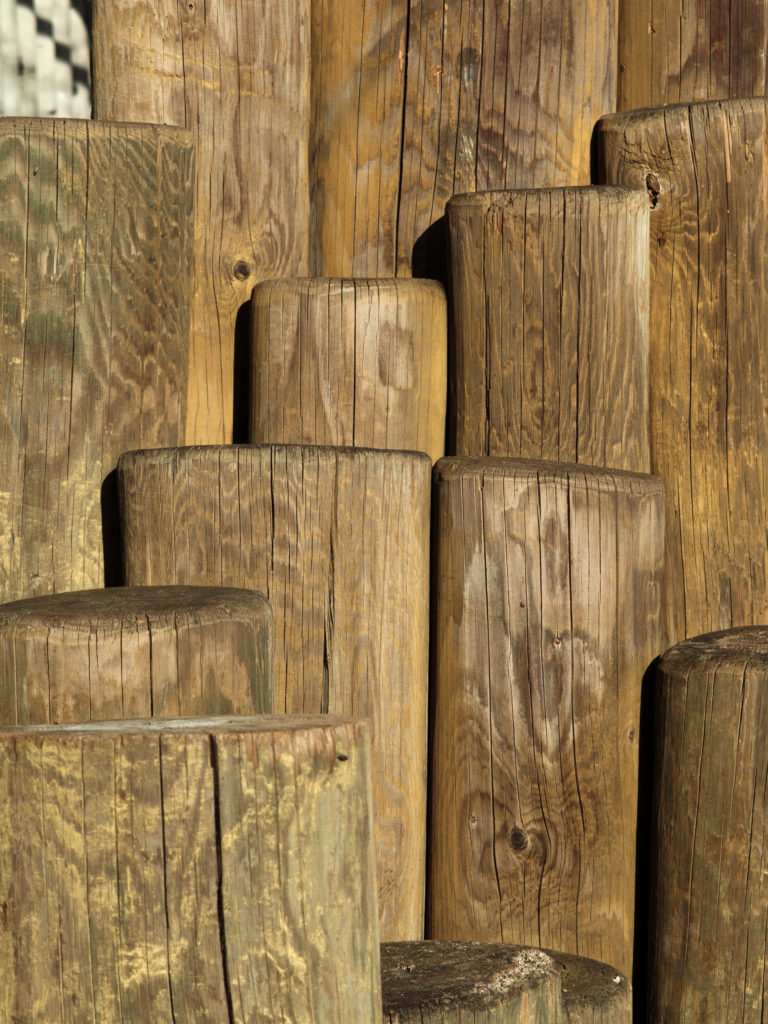 Wooden Poles With Texture | Copyright-free photo (by M. Vorel) | LibreShot