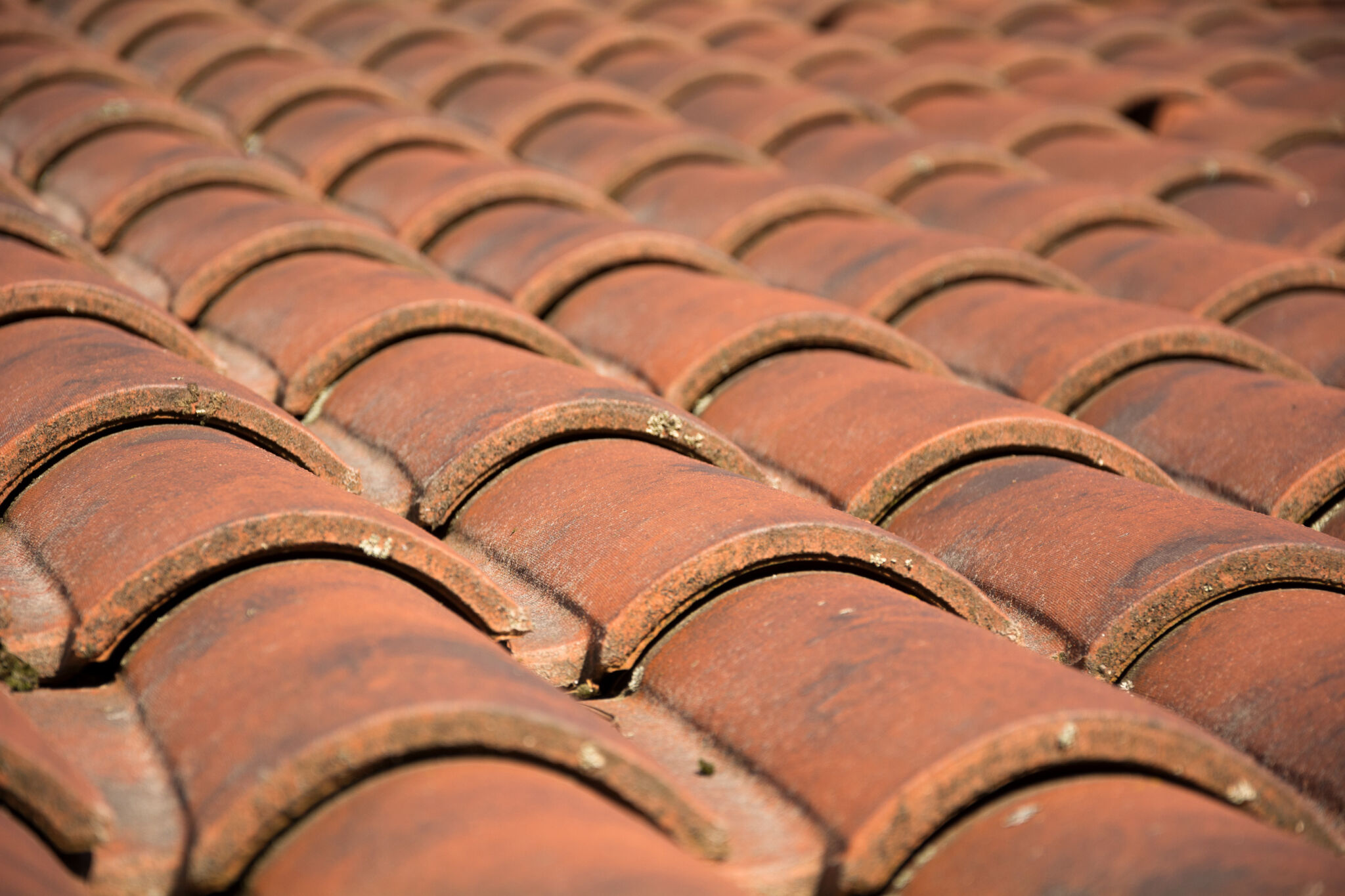 Roof Tiles Detail | Copyright-free photo (by M. Vorel) | LibreShot