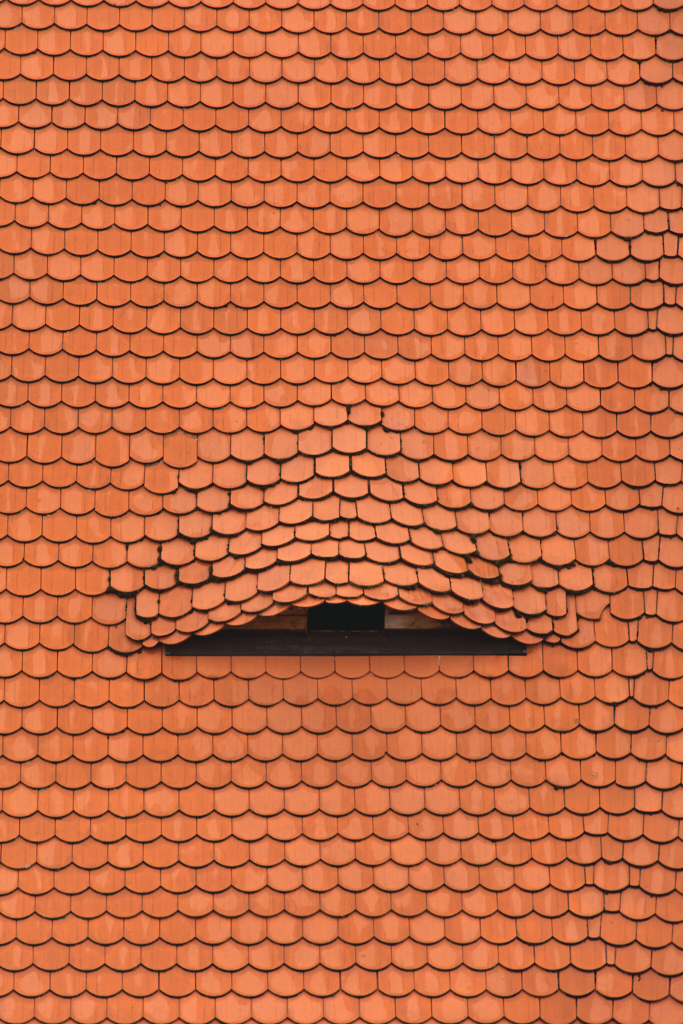 Old Roof Window | Copyright-free photo (by M. Vorel) | LibreShot