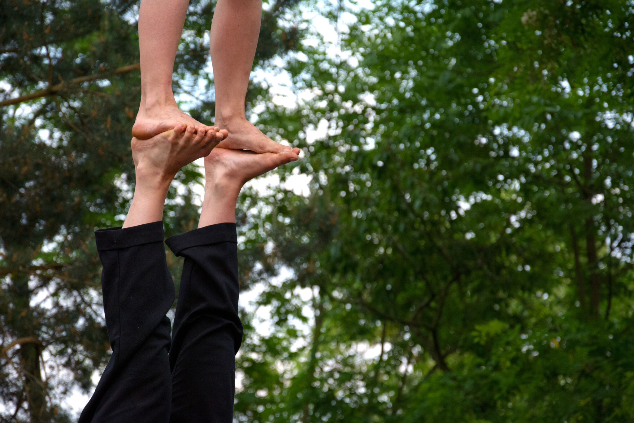 The legs of the artists in the circus | Copyright-free photo (by M ...