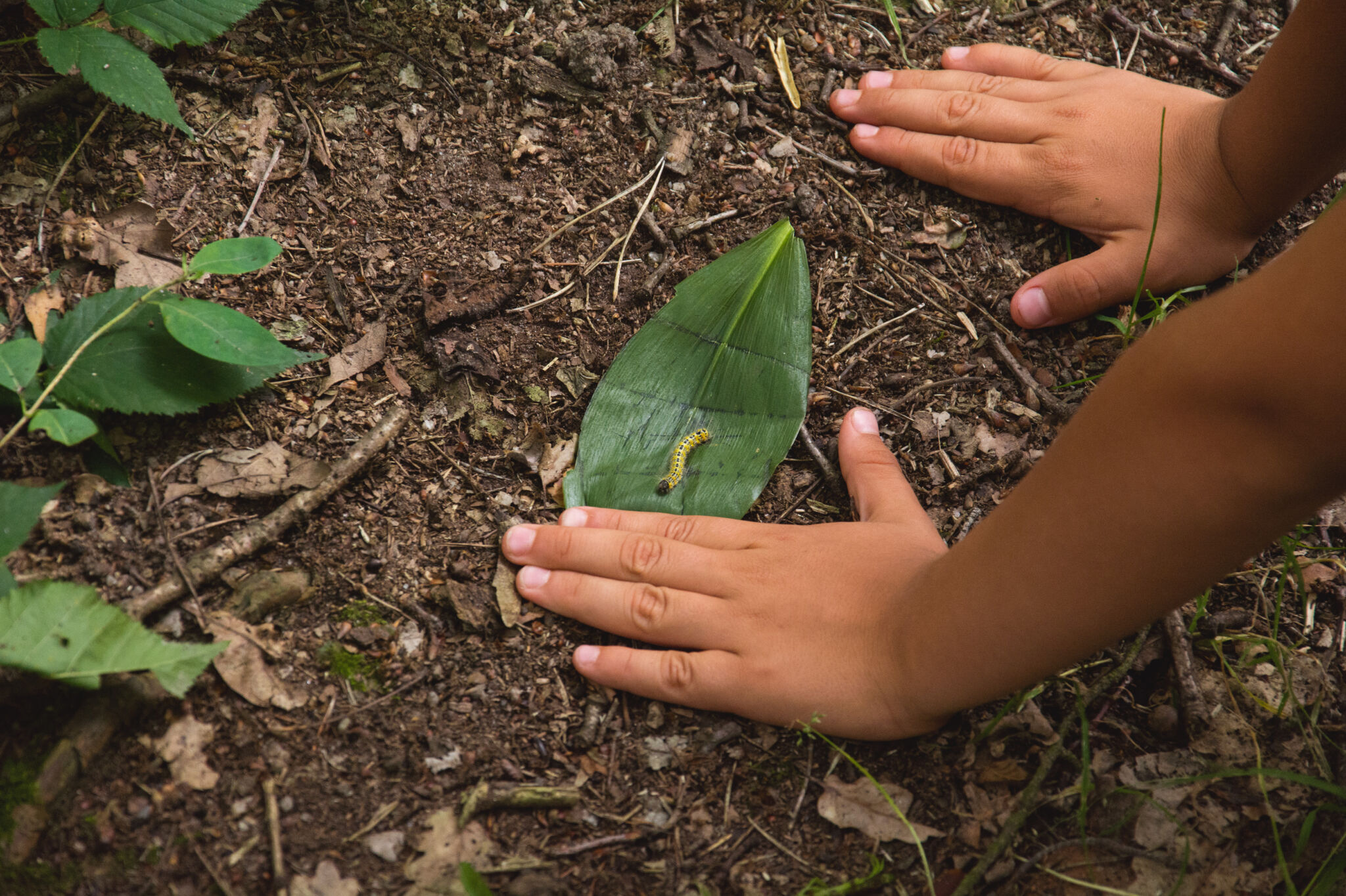 Children In Forest Kindergarten | Copyright-free photo (by M. Vorel ...