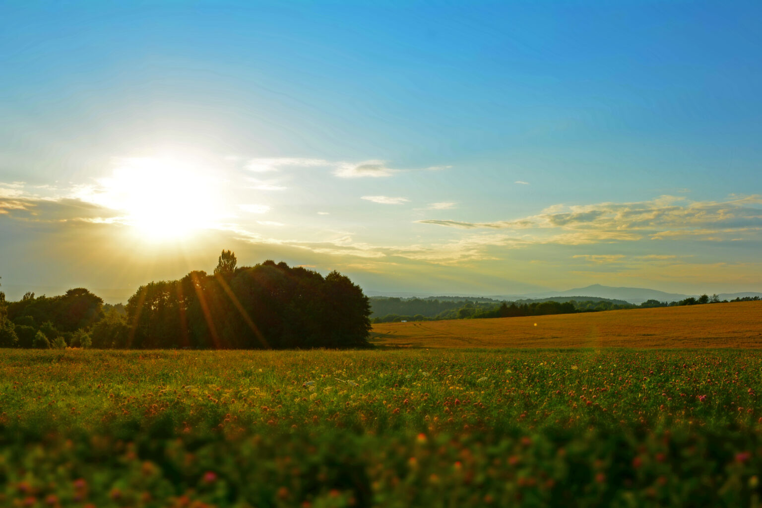 Meadow At Sunset | Copyright-free photo (by M. Vorel) | LibreShot
