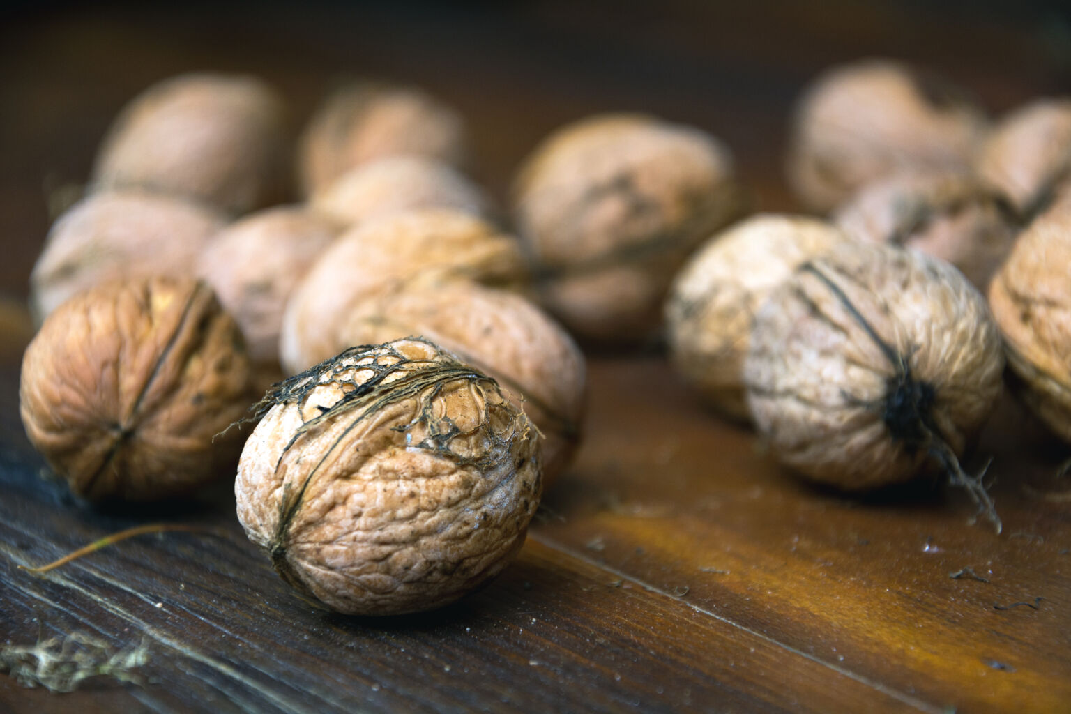 Walnuts | Copyright-free photo (by M. Vorel) | LibreShot