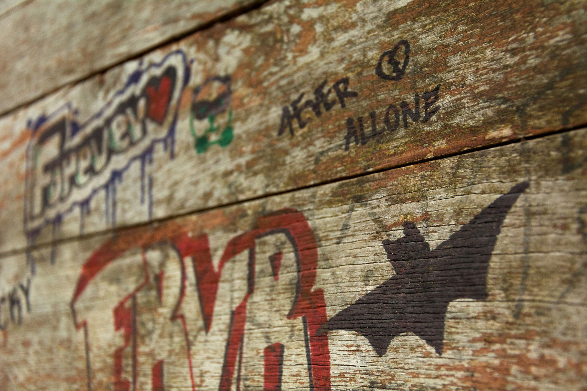 Graffiti on a wooden table | Copyright-free photo (by M. Vorel) | LibreShot