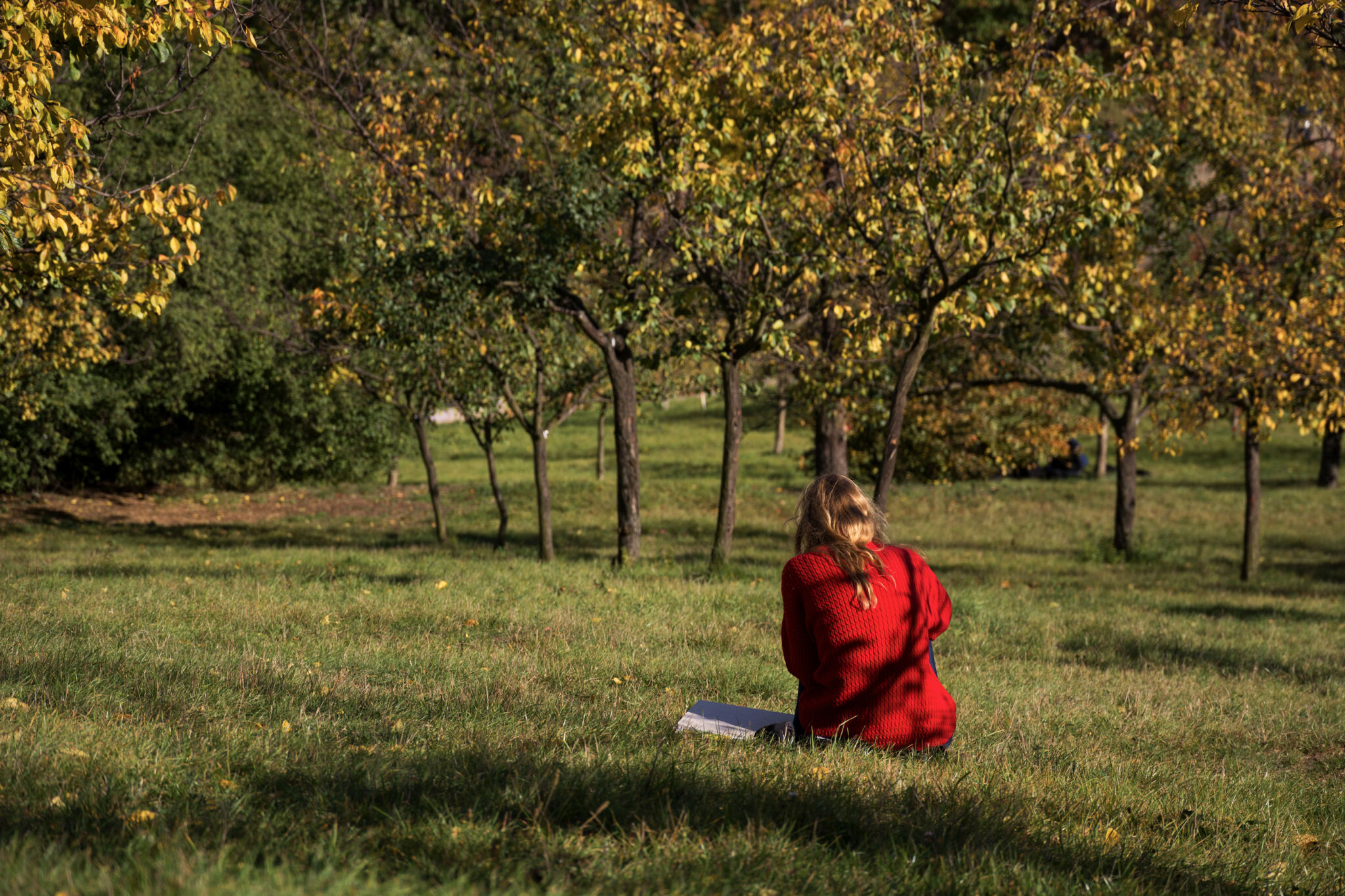 Young woman in the park | Copyright-free photo (by M. Vorel) | LibreShot