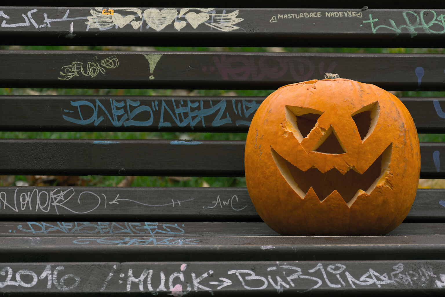 100+ Free halloween stock images. Commercial use. No watermark.