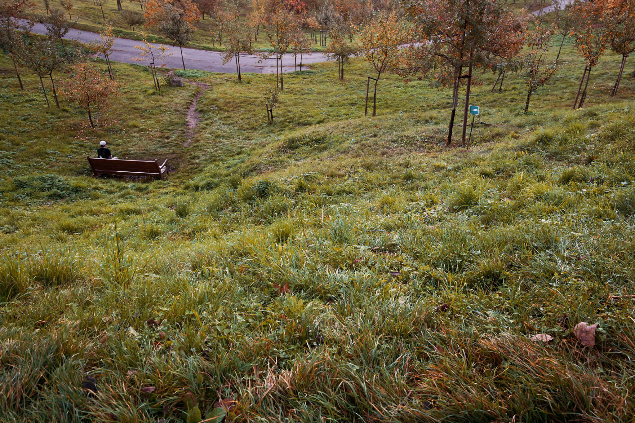 Man alone on the bench in the park | Copyright-free photo (by M. Vorel ...
