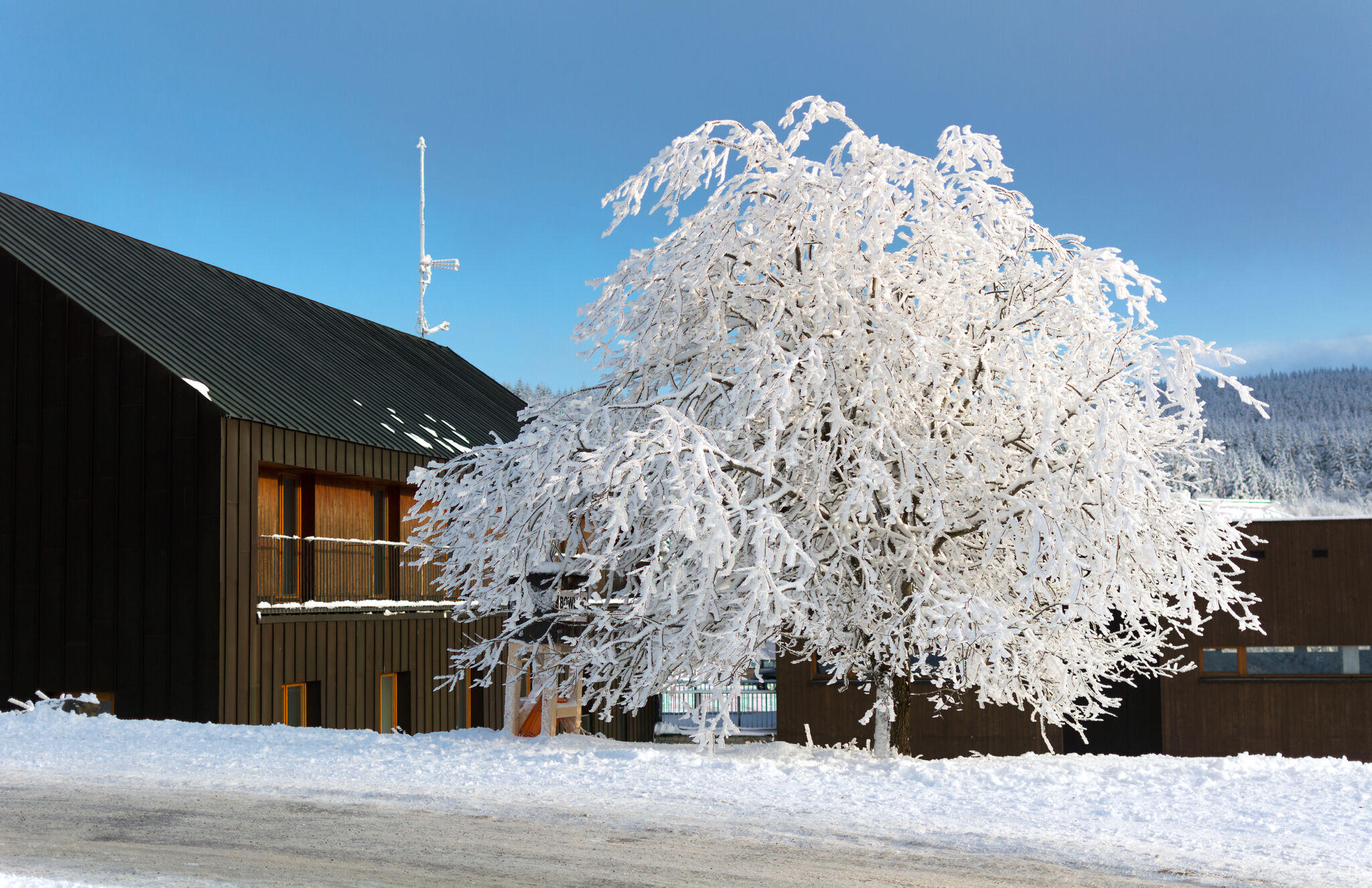 Frozen Tree and House | Copyright-free photo (by M. Vorel) | LibreShot Frozen Tree and House | Copyright-free photo (by M. Vorel) | LibreShot
