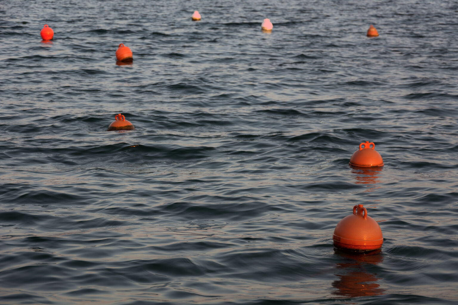 The Orange Buoys On A Sea Surface | Copyright-free photo (by M. Vorel ...