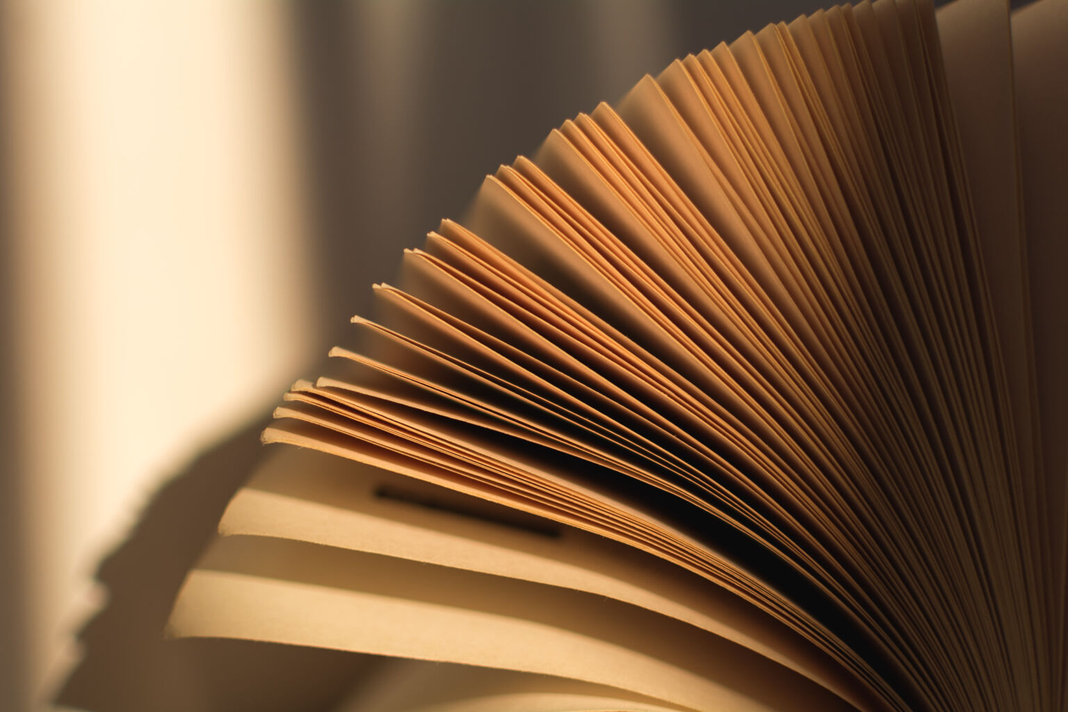 Book Pages | Copyright-free photo (by M. Vorel) | LibreShot