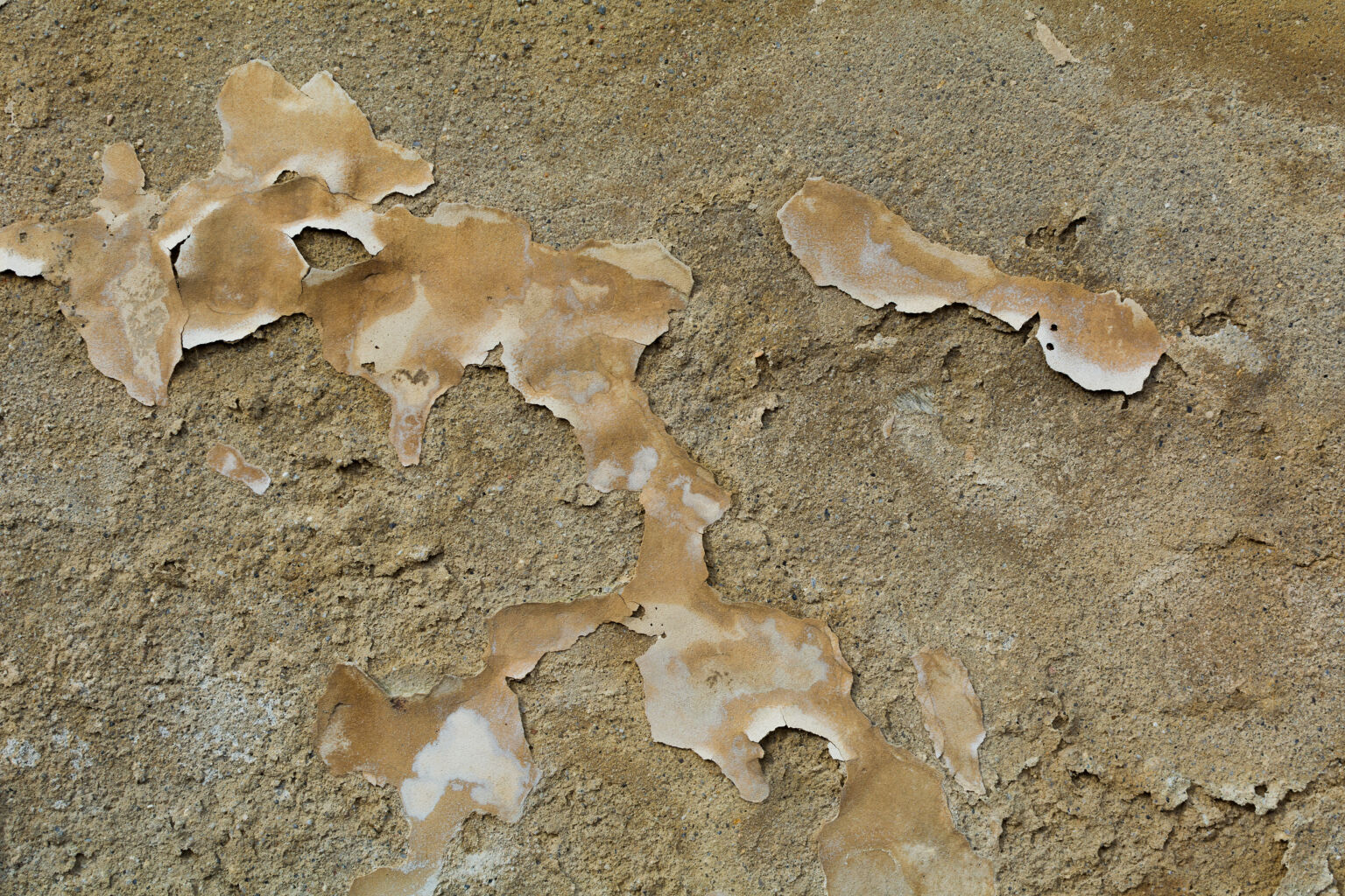 Old Wall Pattern | Copyright-free photo (by M. Vorel) | LibreShot