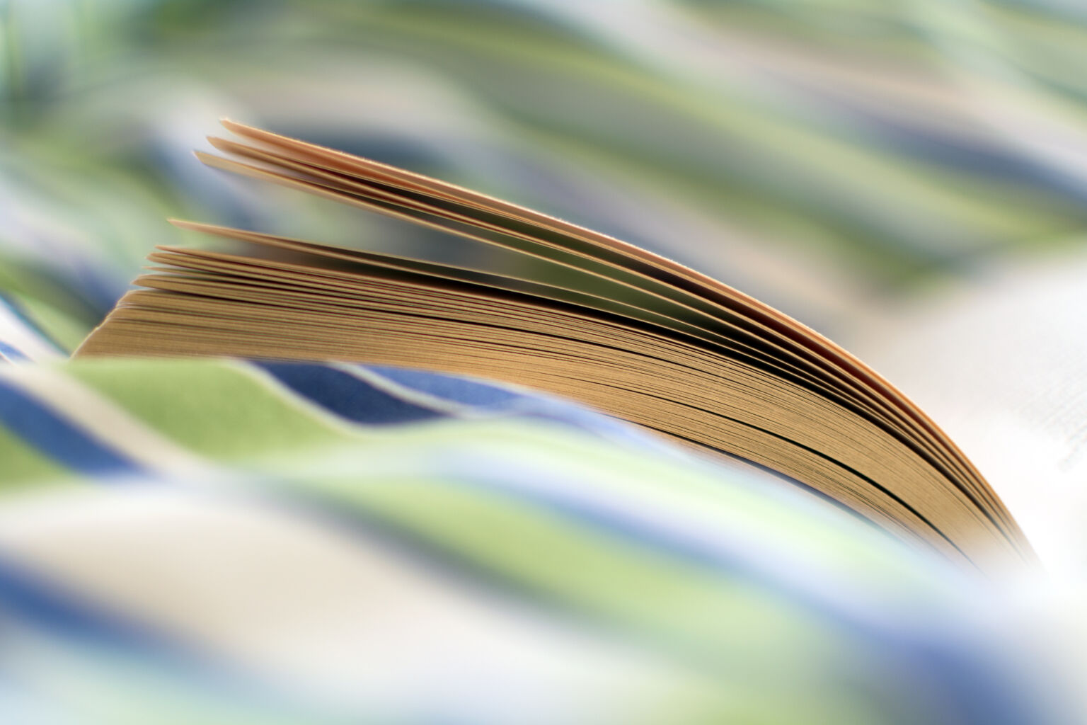 Book Background | Copyright-free photo (by M. Vorel) | LibreShot Book Background | Copyright-free photo (by M. Vorel) | LibreShot