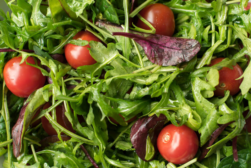 Fresh Salad | Copyright-free photo (by M. Vorel) | LibreShot