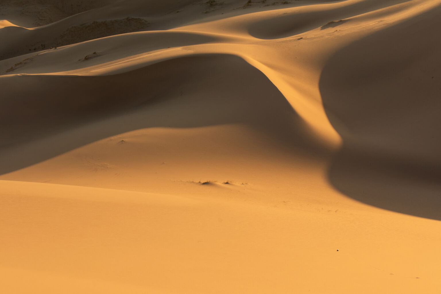 Sand Dunes | Copyright-free photo (by M. Vorel) | LibreShot