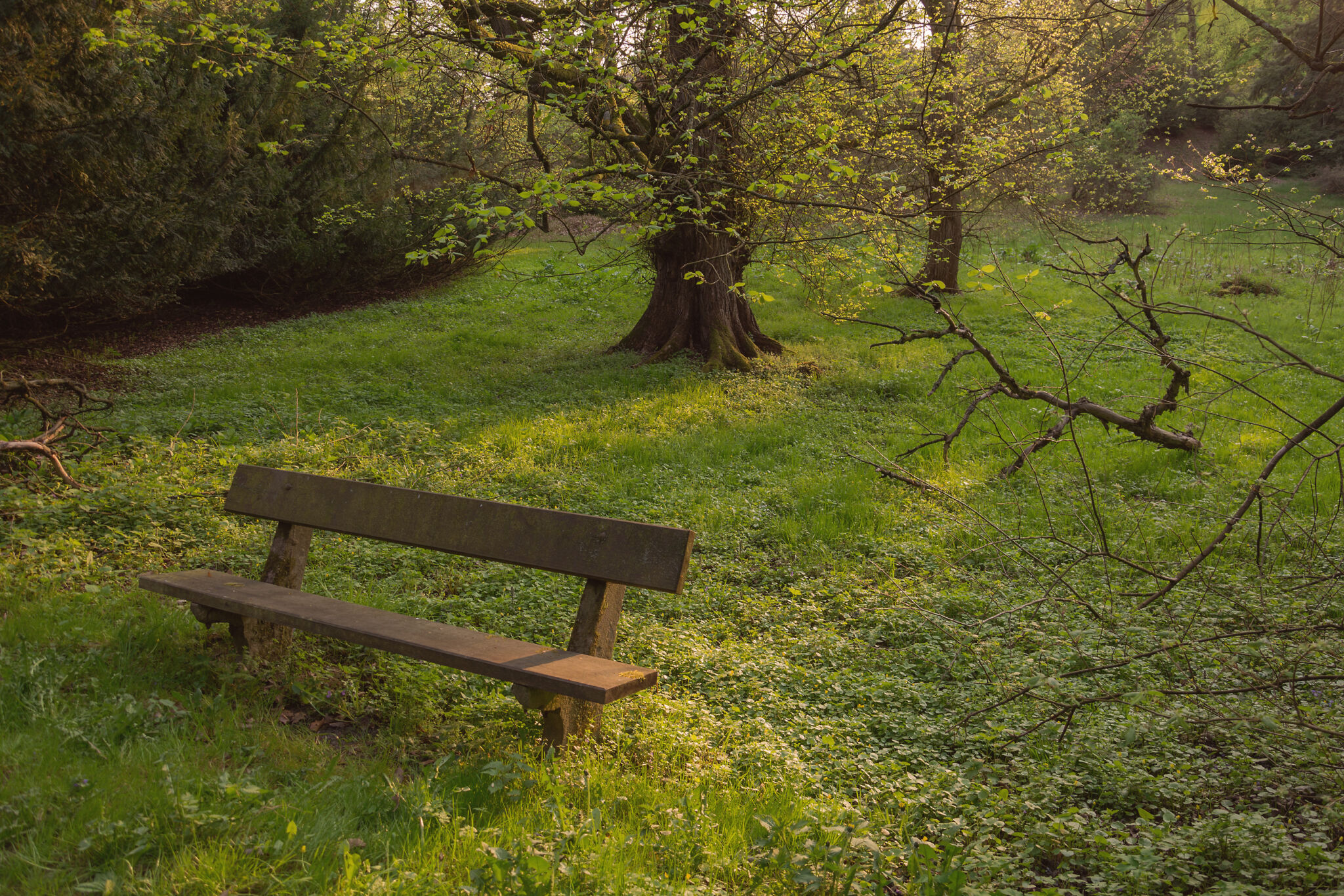 Bench in the park | Copyright-free photo (by M. Vorel) | LibreShot