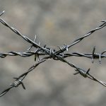 Barbed Wire | Copyright-free photo (by M. Vorel) | LibreShot