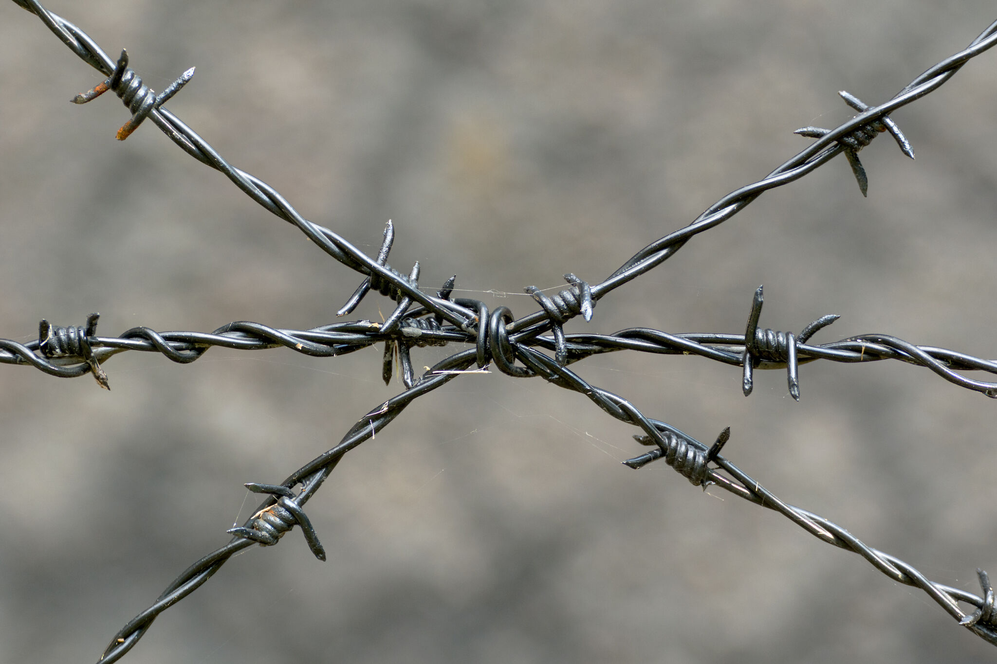Barbed Wire | Copyright-free photo (by M. Vorel) | LibreShot Barbed Wire | Copyright-free photo (by M. Vorel) | LibreShot
