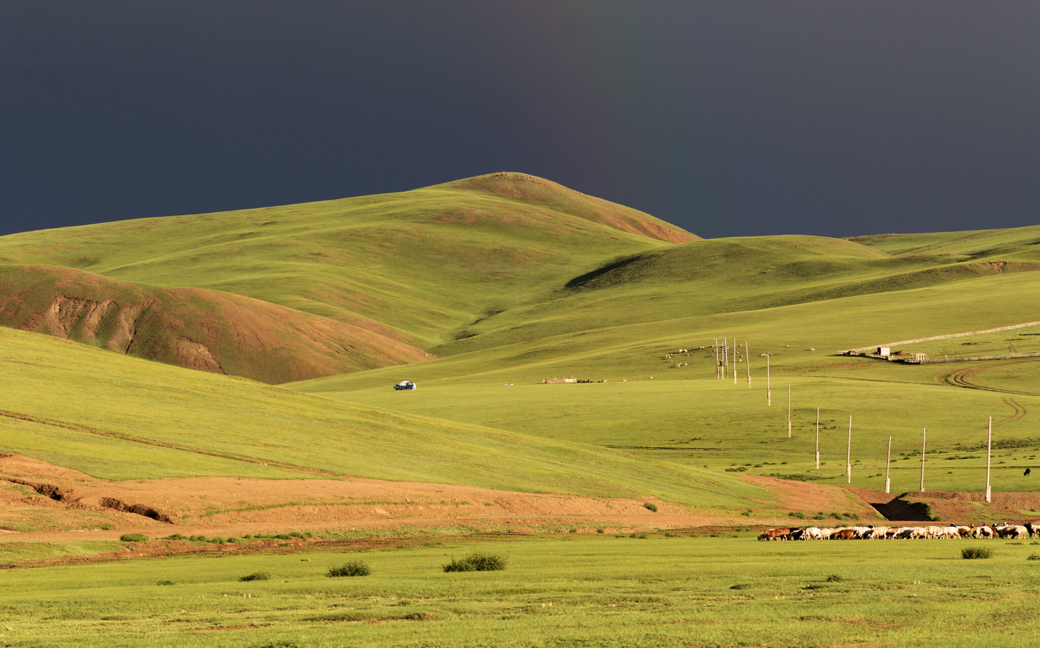 Green steppe in Mongolia | Copyright-free photo (by M. Vorel) | LibreShot