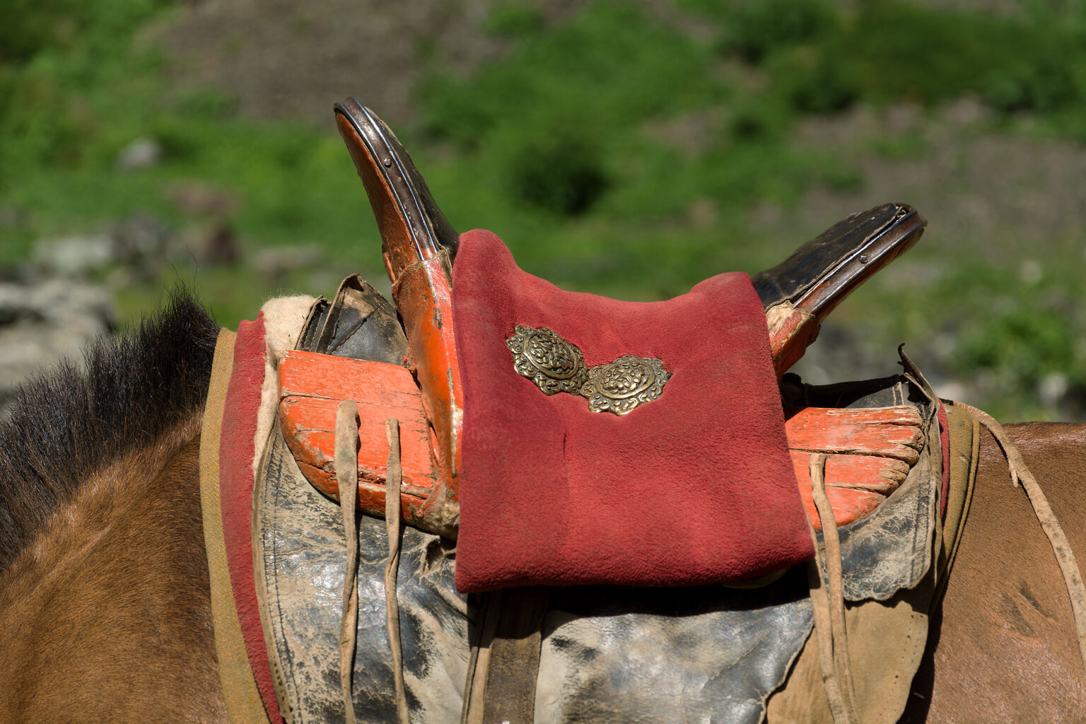 Mongolian Horse Saddle | Copyright-free photo (by M. Vorel) | LibreShot