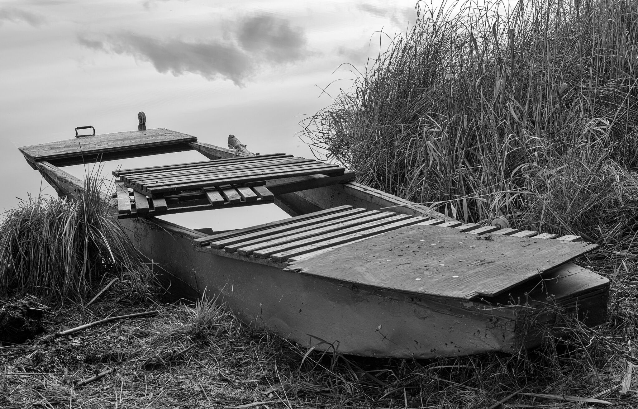 Old wooden punt on the bank of the pond | Copyright-free photo (by M ...