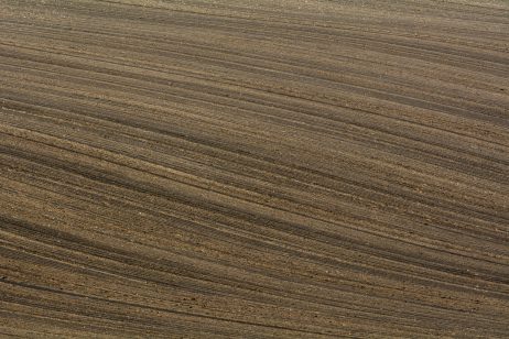 Brown Field Pattern | Copyright-free photo (by M. Vorel) | LibreShot