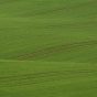 Minimalist Photo of the Field | Copyright-free photo (by M. Vorel ...