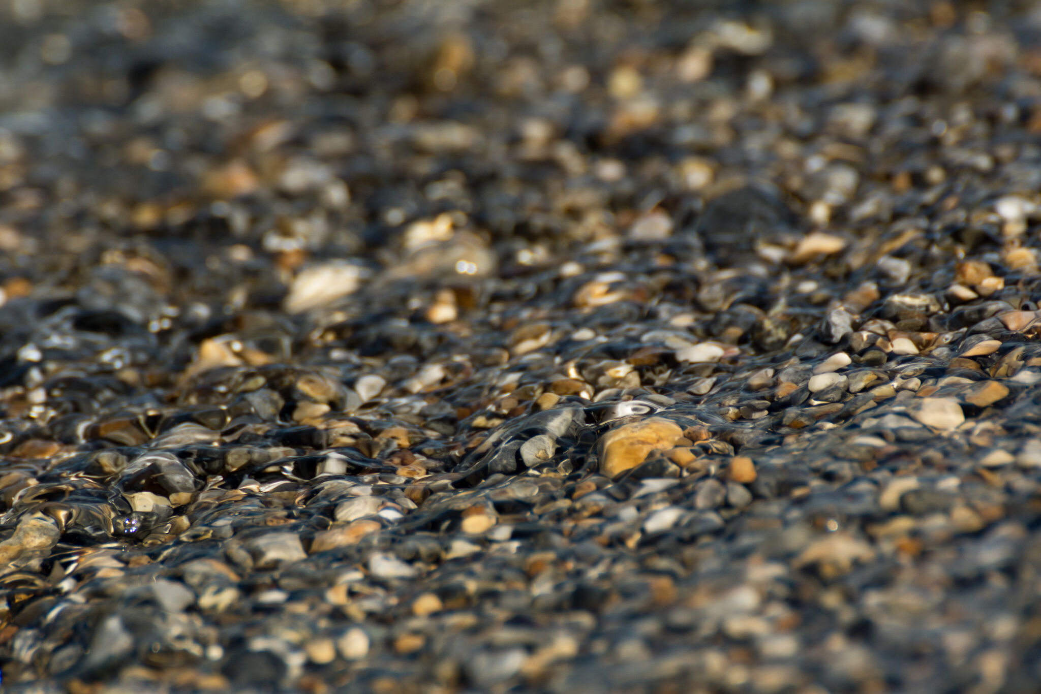 Pebbles at the Shore of a Clear Lake | Copyright-free photo (by M ...