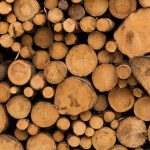 The Wall Made of Vertical Logs | Copyright-free photo (by M. Vorel ...