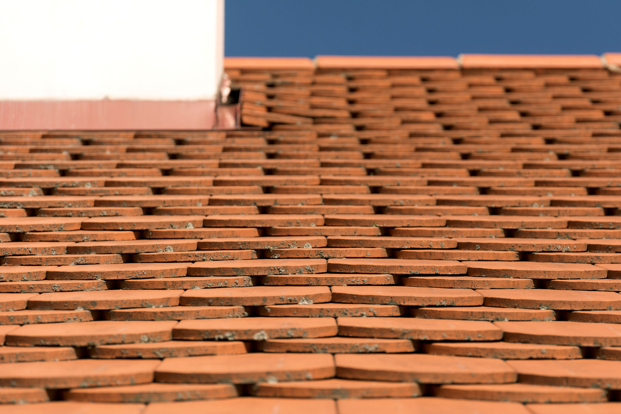 Roof Pattern | Copyright-free photo (by M. Vorel) | LibreShot