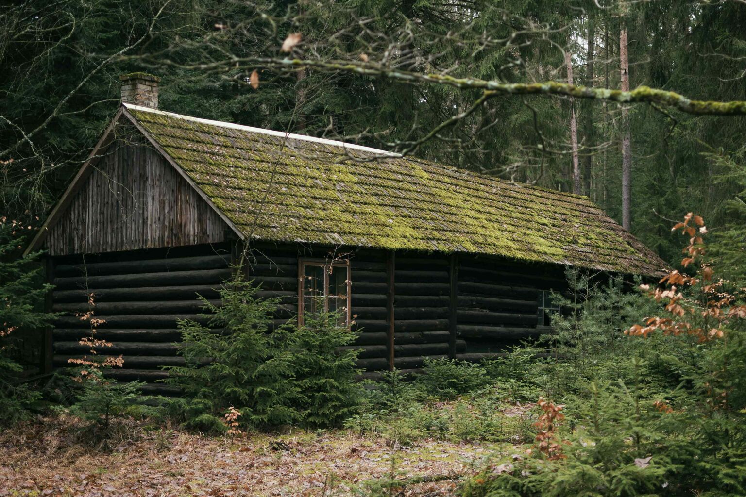 Magical Abandoned Cabin in Woods | Copyright-free photo (by M. Vorel ...