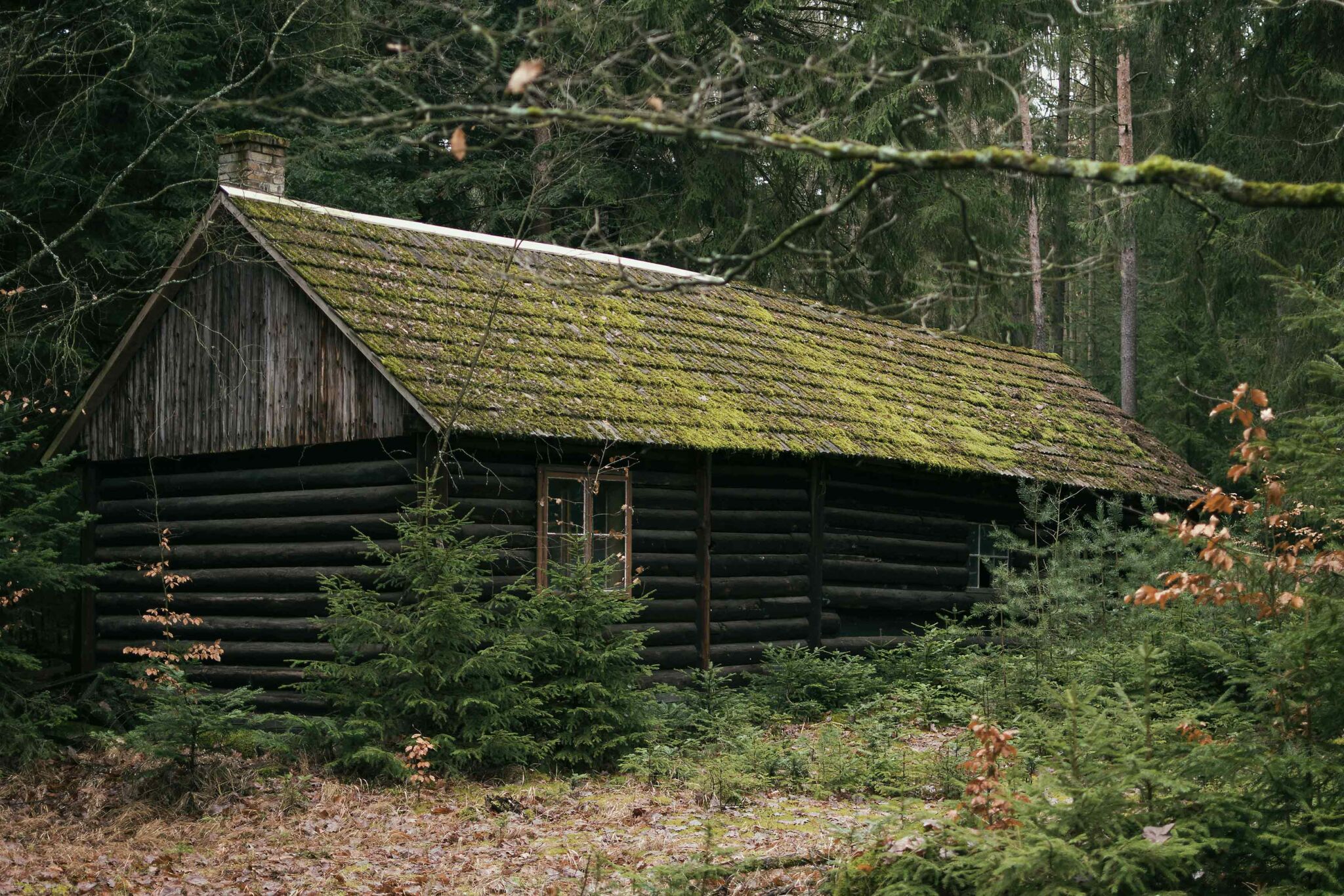 Magical Abandoned Cabin in Woods | Copyright-free photo (by M. Vorel ...