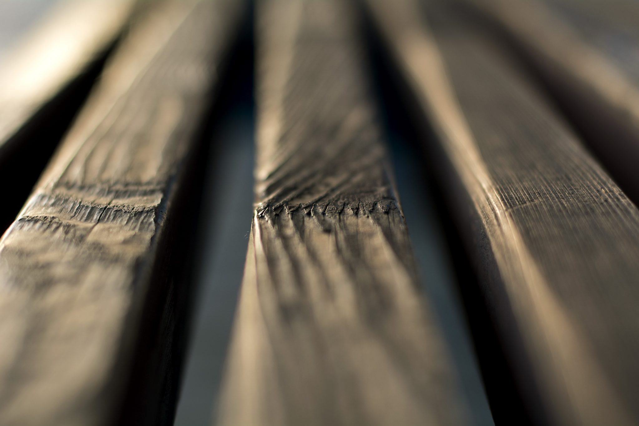 Wood Connection | Copyright-free photo (by M. Vorel) | LibreShot