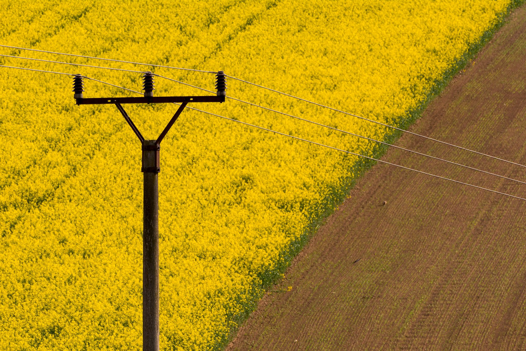 Minimalist Photo of the Field | Copyright-free photo (by M. Vorel ...