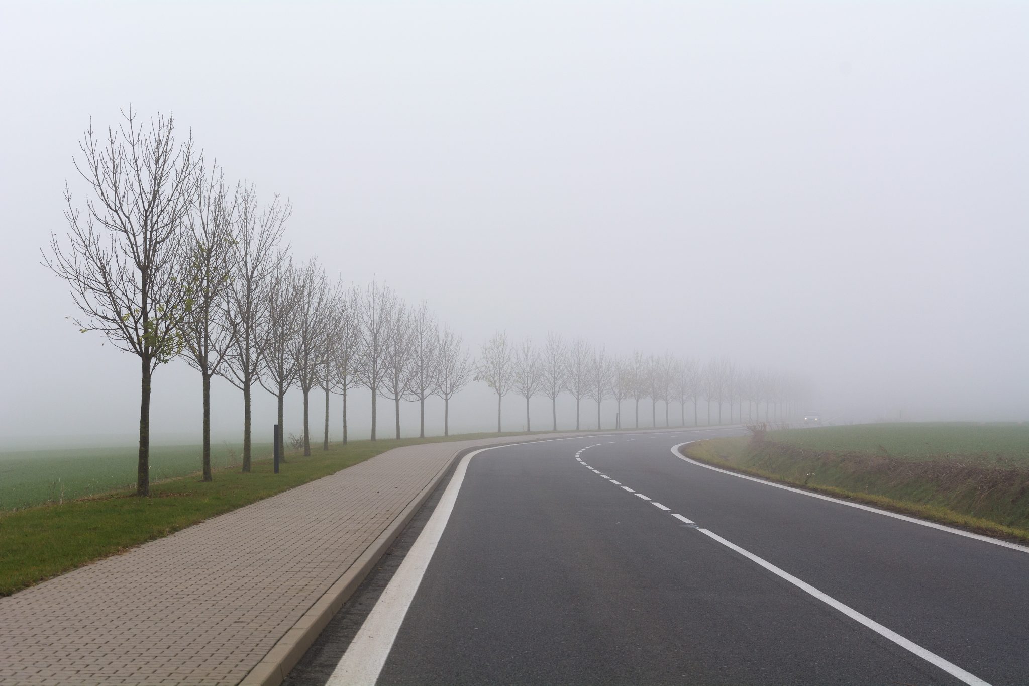Foggy Road | Copyright-free photo (by M. Vorel) | LibreShot