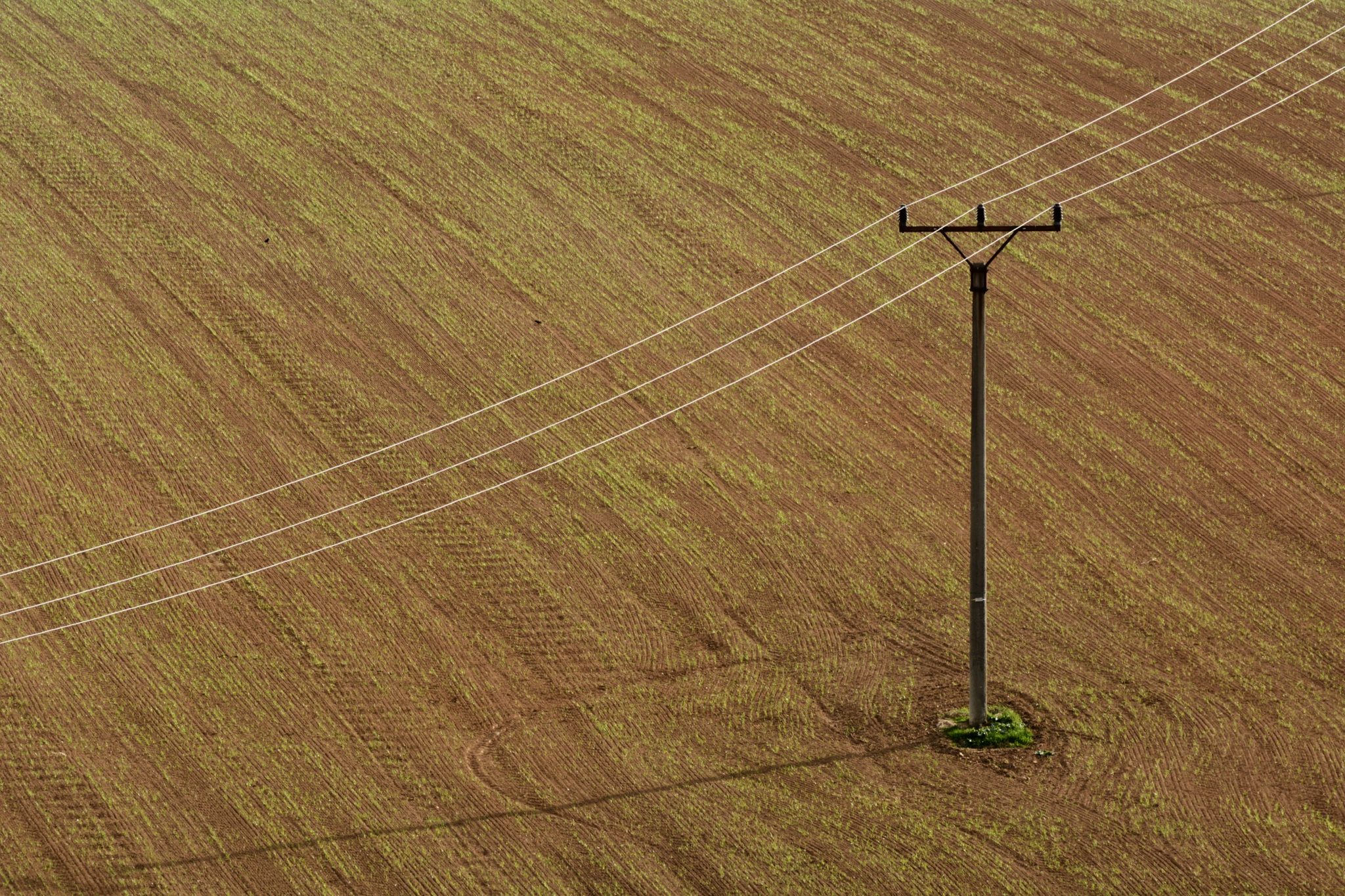 Electricity Poles on the Brown Field | Copyright-free photo (by M ...