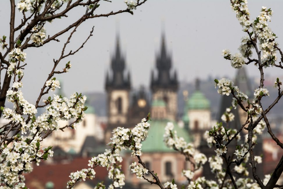 Spring Prague | Copyright-free photo (by M. Vorel) | LibreShot
