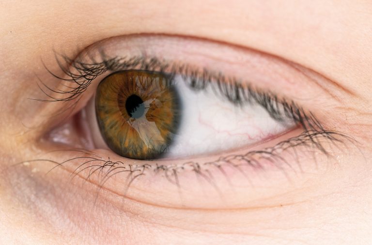 Brown Eye Close-up | Copyright-free photo (by M. Vorel) | LibreShot