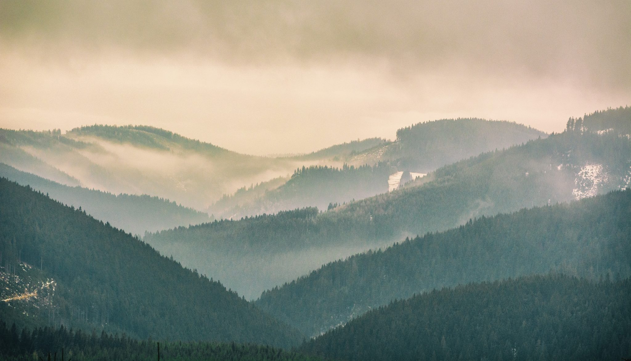 Hills in Mist | Copyright-free photo (by M. Vorel) | LibreShot