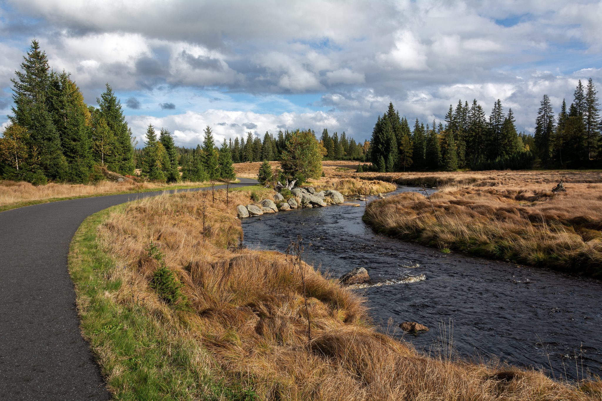Bike Path Next to the River in the Wild | Copyright-free photo (by M ...