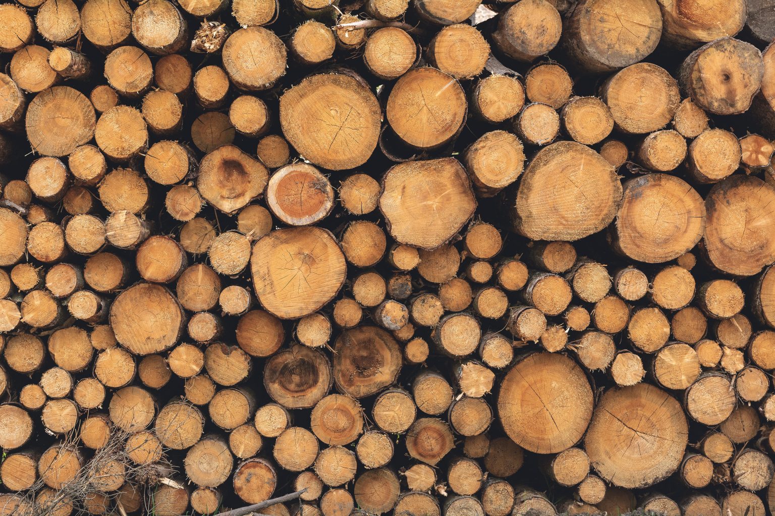 Stack of Wood | Copyright-free photo (by M. Vorel) | LibreShot