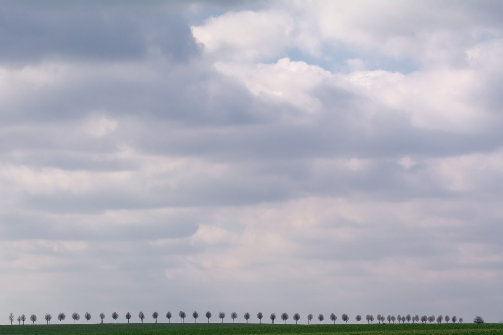 Trees on the Horizon | Copyright-free photo (by M. Vorel) | LibreShot