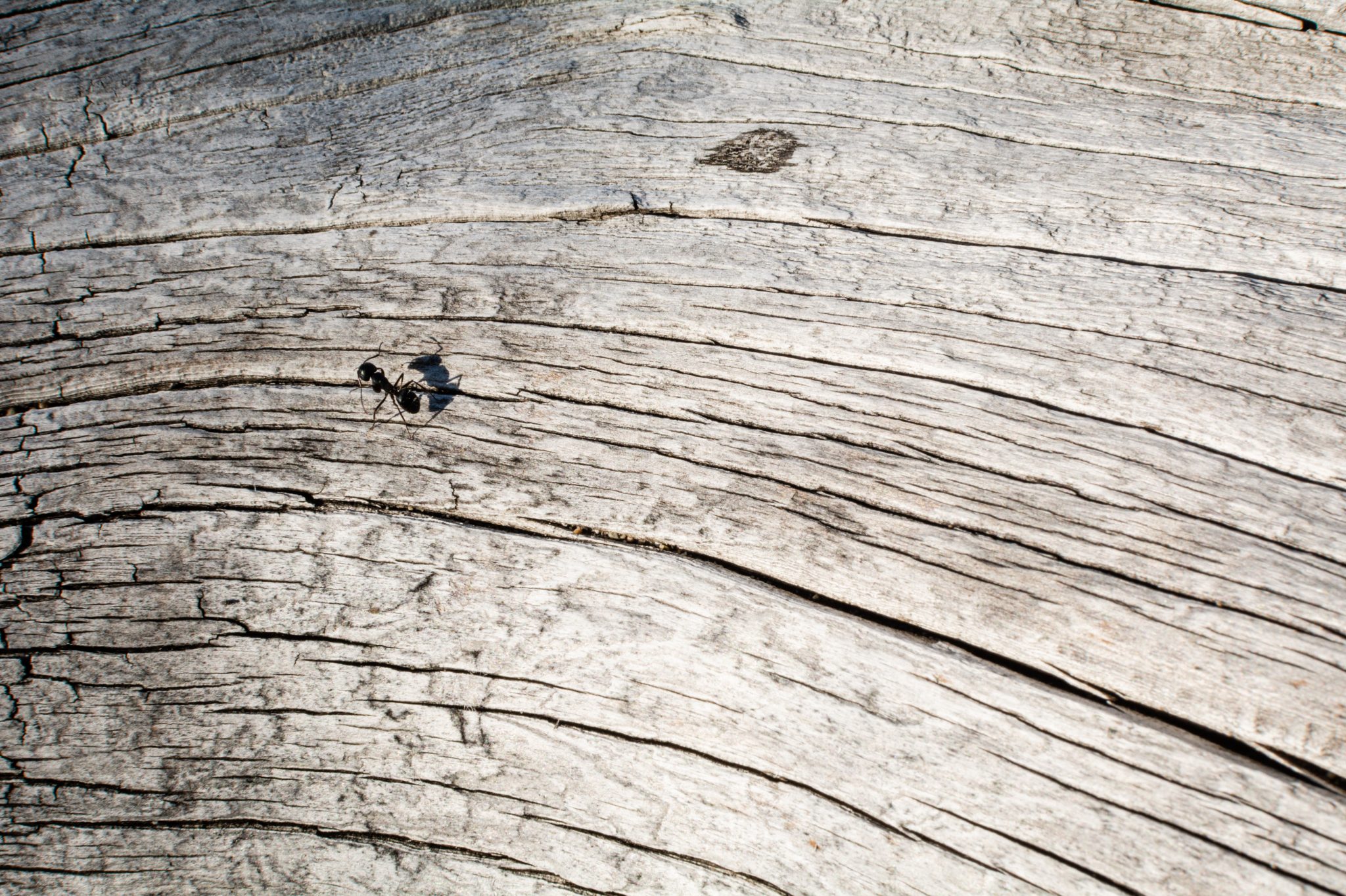 100+ Free Texture stock images. Commercial use. No watermark.