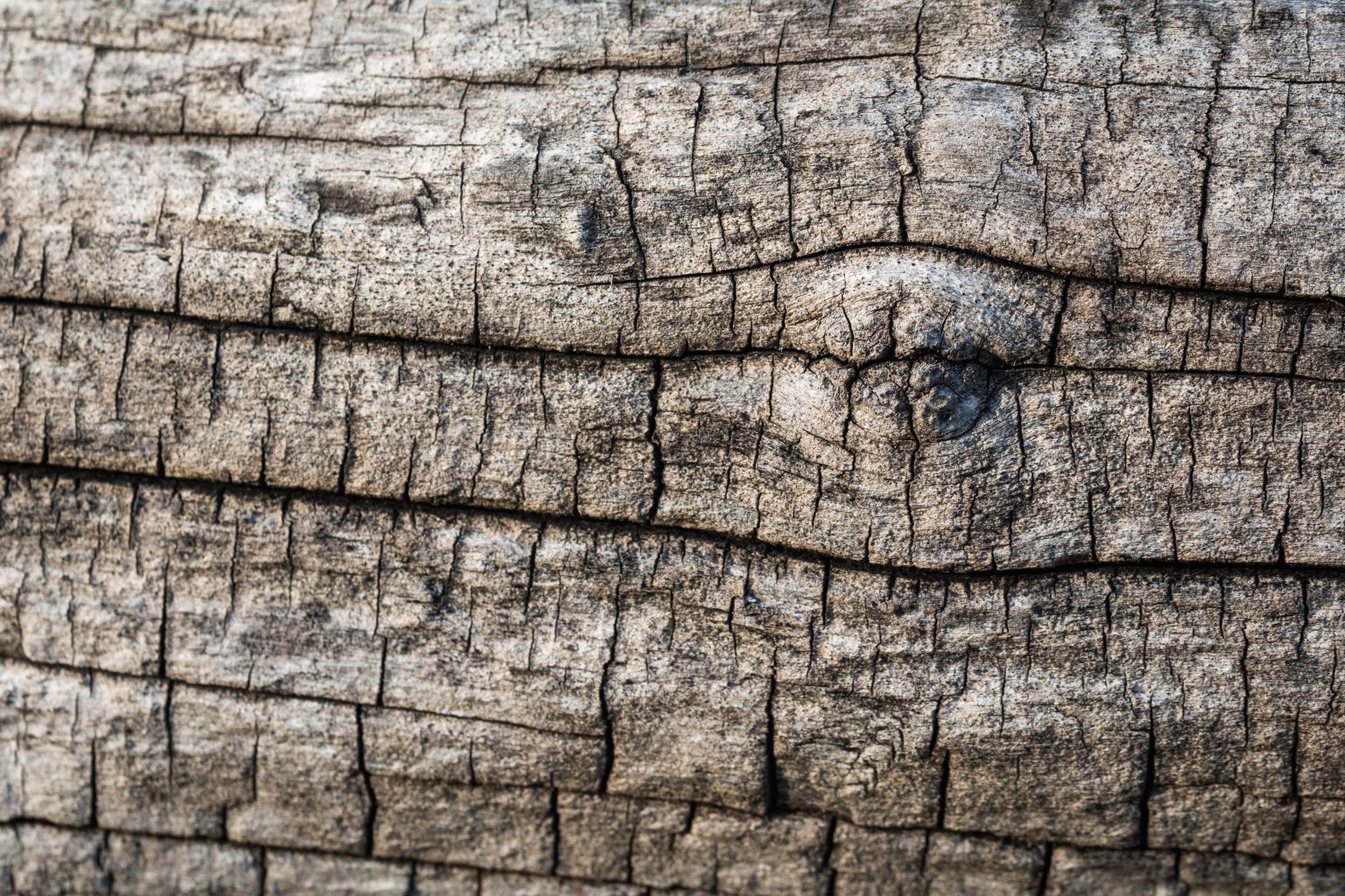 Dry wood texture | Copyright-free photo (by M. Vorel) | LibreShot