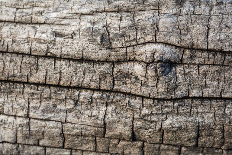 100+ Free Texture stock images. Commercial use. No watermark.