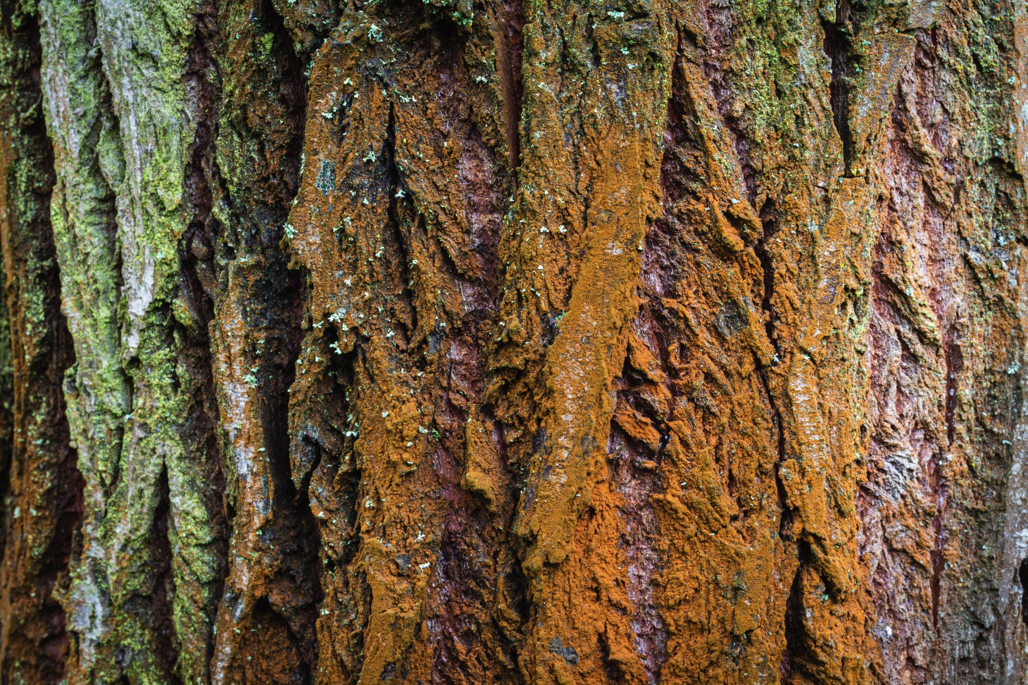 100+ Free Texture stock images. Commercial use. No watermark.