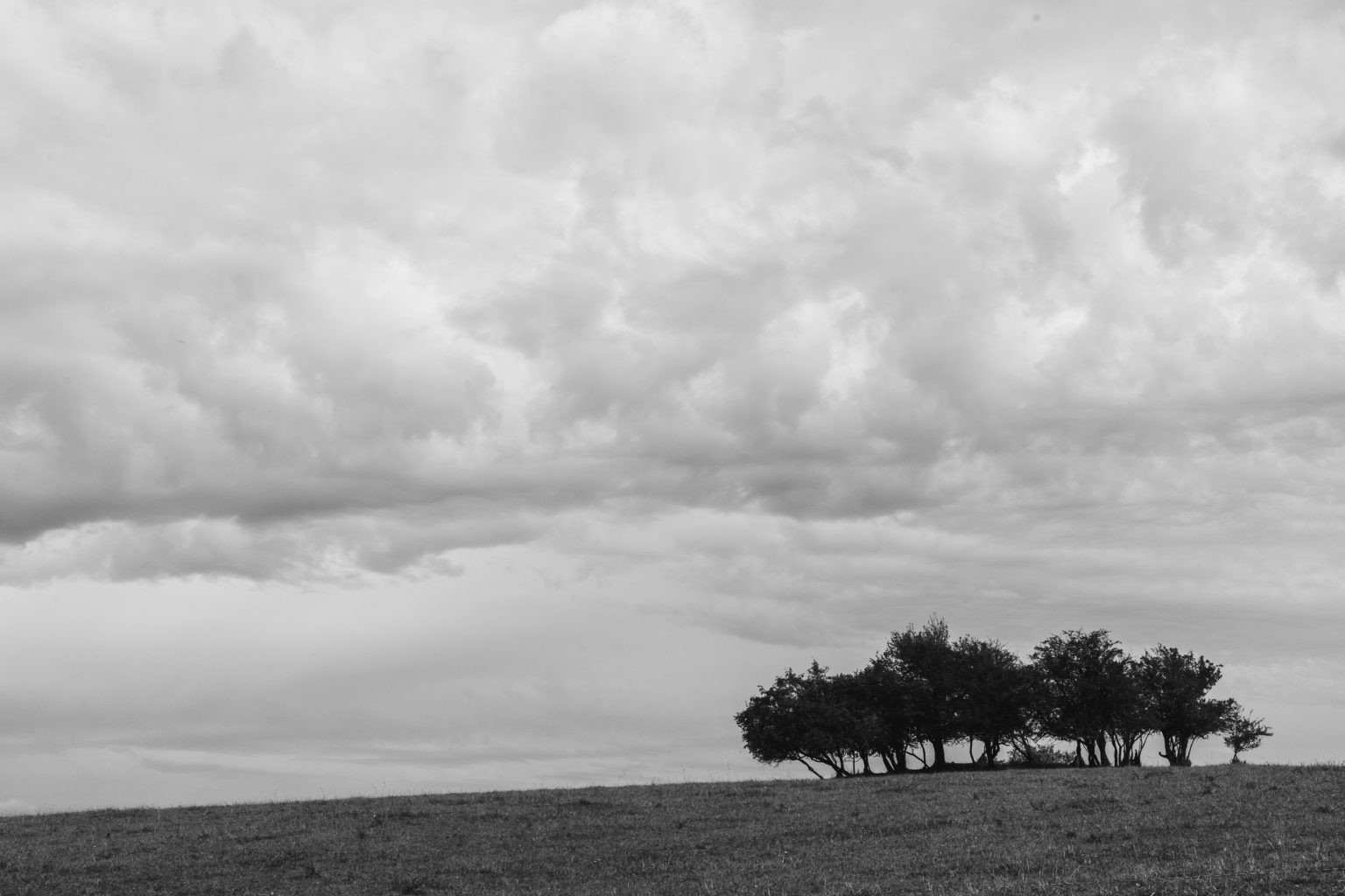 Nature Stock Photos for Free. Commercial Use. No Watermark.